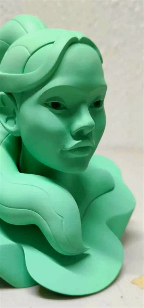 Delonix Regia Behance