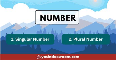 Number কাকে বলে কত প্রকার ও কী কী একদম সহজ ভাষায় Yasin Classroom