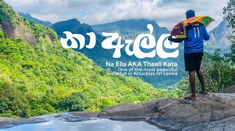 නා ඇල්ල Na Ella Aka Thaali Kata Knuckles Travel Youtube