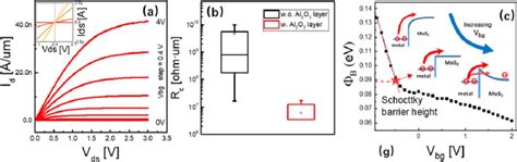 Electrical Characteristic Of The Mos 2 Fet Using Al 2 O 3 Protective