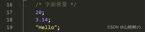 c语言：常量 csdn博客