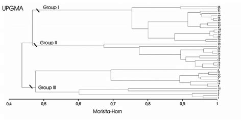 Dendrogram Classifications Showing The Groups Of Stations Q Mode Download Scientific Diagram