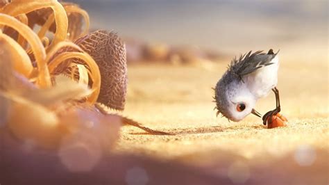 მგალობელი ჩიტი ახალი ფილმები და სერიალები ქართულად Axali Filmebi Da