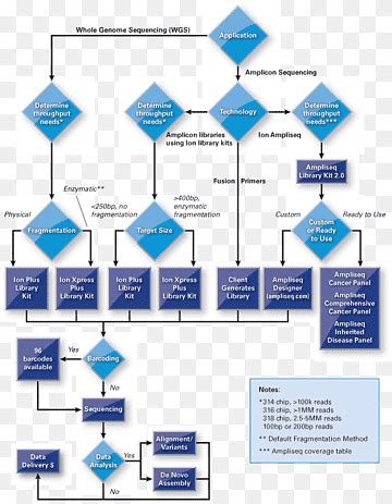 Decision Tree Png Images PNGWing