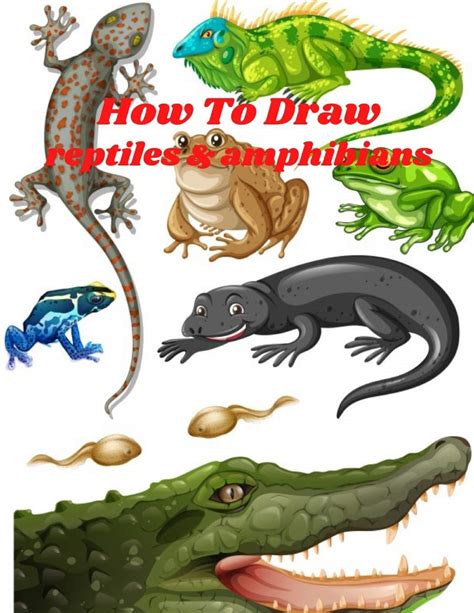 Buy How To Draw Reptiles And Amphibians Step By Step Way To Draw