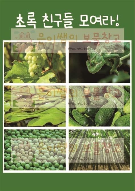 어린이집 유치원 영아 색깔 프로젝트 벽보자료 무료공유 네이버 블로그