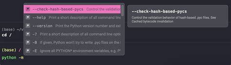 Completions Of Command Arguments Not Filtering As Expected Issue
