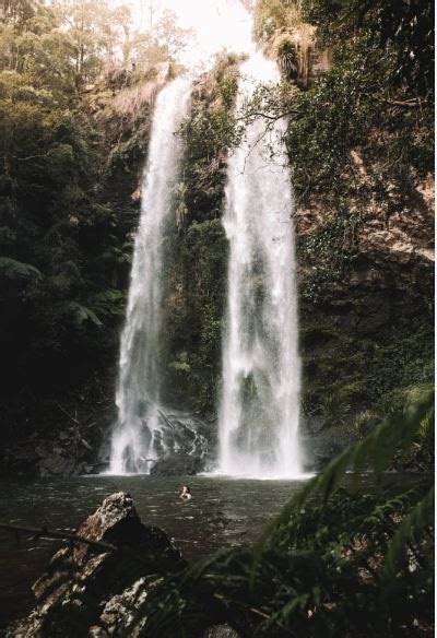 Twin Falls Springbrook National Park Love To Assist