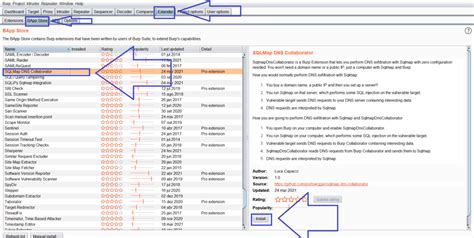 Using Dns For Faster Exfiltration Of Blind Sql Injection Data Burp And