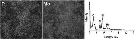 Phosphorus P And Molybdenum Mo Elemental Mapping Along With