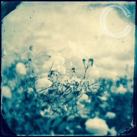Carolyn Quartermaine Helen Chislett