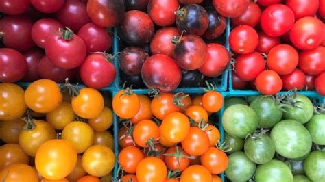 Worldwide Produce Order Online Rekki