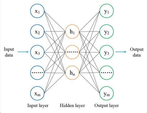 The Autoencoder Includes One Input One Hidden And One Output Layer Download Scientific