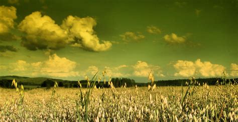 Lazy Summer Days By KariLiimatainen On DeviantArt