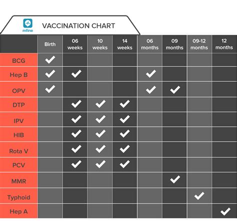 Immunization Schedule Table Pdf My Bios