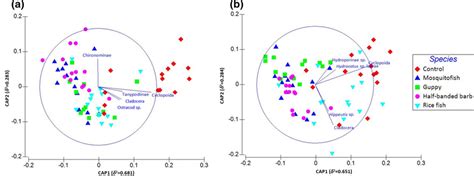 Biplot Of Canonical Analysis Of Principal Coordinates Cap Of