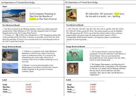 Two Case Studies Of How The Text Retrieval And Image Based Retrieval