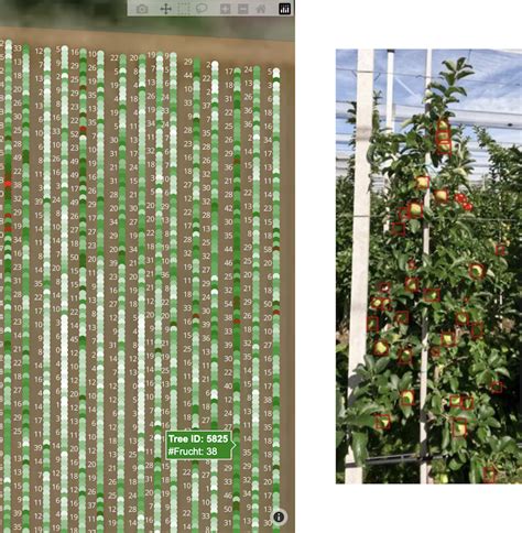 Naturamons Fieldmap Application