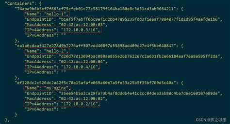 【docker】（六）使用network完成容器间的网络通信docker Network Dns Csdn博客