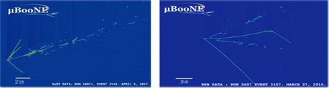 Neutrino Physics Neutrino Group