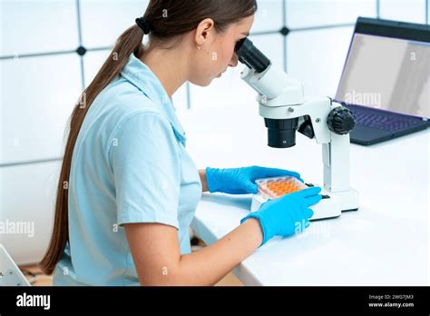 Cell Viability And Cytotoxicity Assays Genetic Research Often Involves Assessing Cell Viability