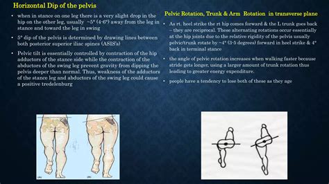 Pty 4304 Pathokinesiology Gait And Pathological Gait B Pptx