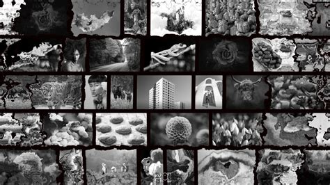 shader grid by fwdesign codecanyon