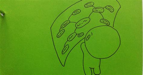 Superlab Physics 4531 Spm Form 4 Physics Mind Map Heat