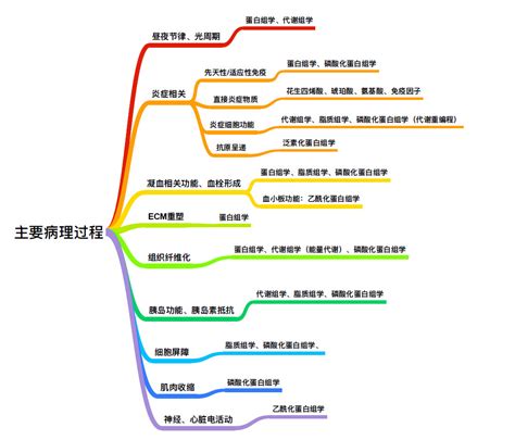 基础医学研究思路 哔哩哔哩