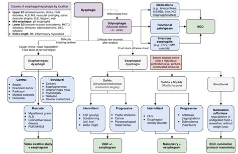 Differentials Dysphagia At Erik Cox Blog