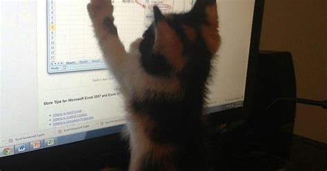 Here Let Me Help You With Those Spreadsheets Imgur