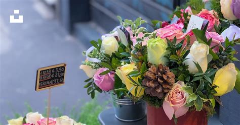 분홍색 플라스틱 냄비에 핑크 장미 사진 Unsplash의 무료 꽃 이미지