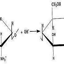 Chitosan Undergoes Protonation Reaction Download Scientific Diagram