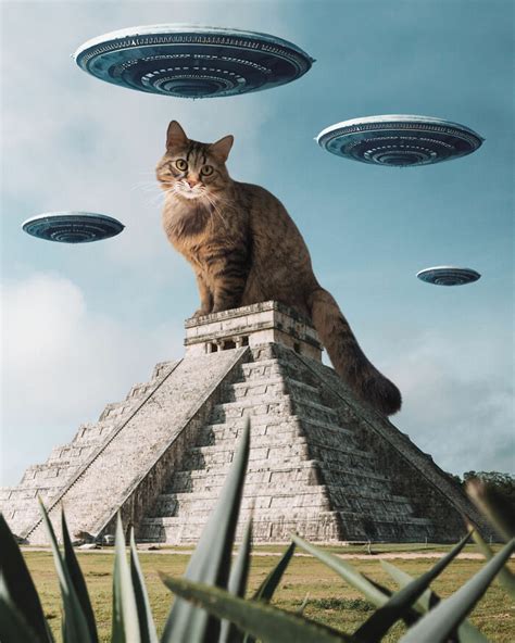 30 Adorably Unsettling Art Pieces That Show Giant Cats Ruling The World