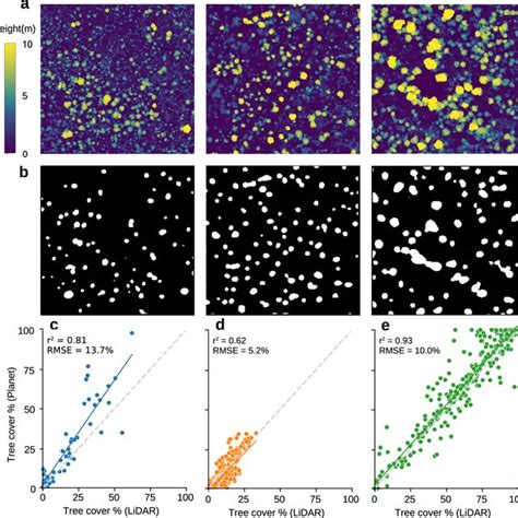Validation Of Tree Segmentation Results With Canopy Height Models A