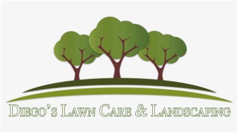 3 Tree Clip Art HD Png Download Kindpng