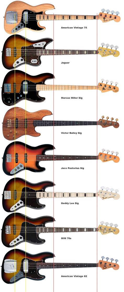 Bass Guitar Body Types At Caitlyn Tooth Blog
