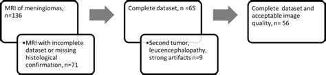 Fully Automated Detection And Segmentation Of Meningiomas Using Deep Learning On Routine