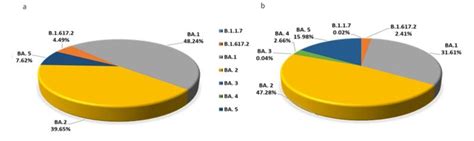 Rbc Bioscience On Linkedin Rbcbioscience Research Diagnostics Dna
