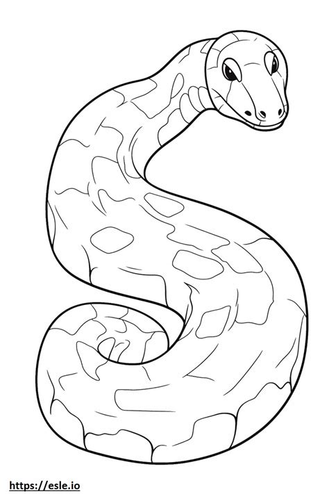Spotted Python Full Body Coloring Page