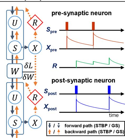 Figure 1 From Gradient Scaling On Deep Spiking Neural Networks With Spike Dependent Local