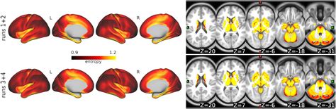 Frontiers Optimizing The Measurement Of Sample Entropy In Resting State Fmri Data