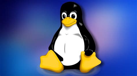 Install Kali Linux On Windows Subsystem YouTube