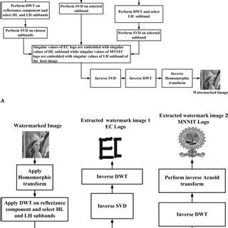 A Embedding Algorithm B Extraction Algorithm Download Scientific Diagram