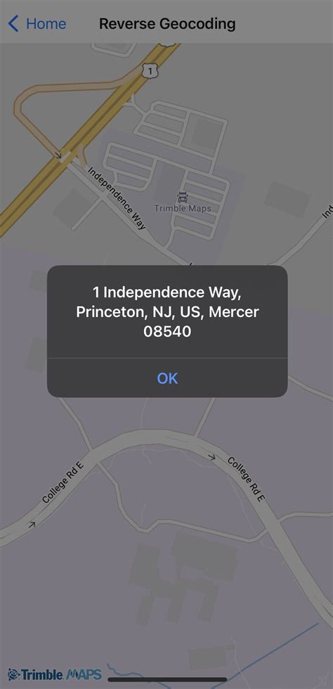 Reverse Geocoding Mobile Maps Sdk