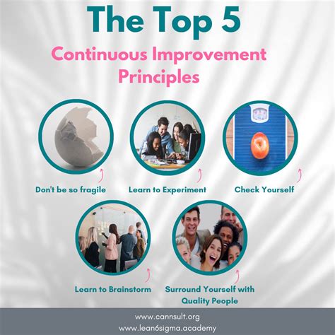 The Top 5 Continuous Improvement Principles Cannsult Inc Business Consulting Services
