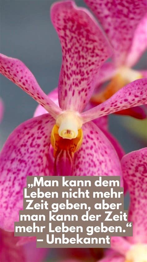 73 Sprüche über Das Leben Zum Nachdenken Weisheiten
