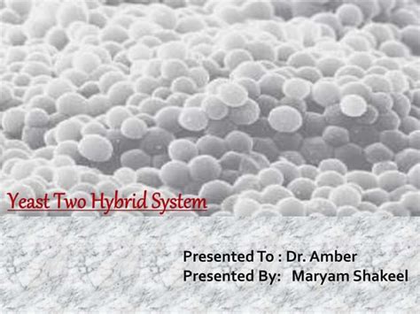 Yeast Two Hybrid System Pptx
