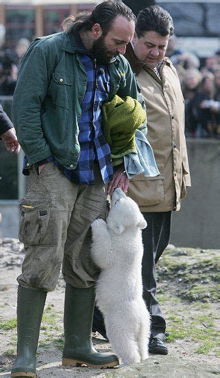 Photo Gallery Cute Knut Makes Public Debut Der Spiegel