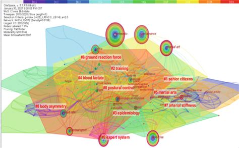 Foreign Taekwondo Research Keywords Co Occurrence Cluster Atlas Download Scientific Diagram